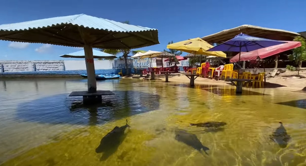 Lagoa dos Tambaquis: onde fica, como chegar, quanto custa - Turismo de ...